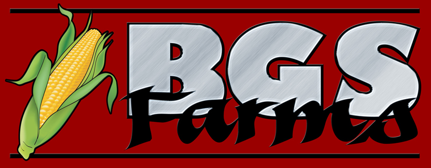 Custom Made Approved Artwork / Logo Design Layout - bgs