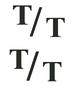 Custom Made Approved Artwork / Logo Design Layout - t-tDecal